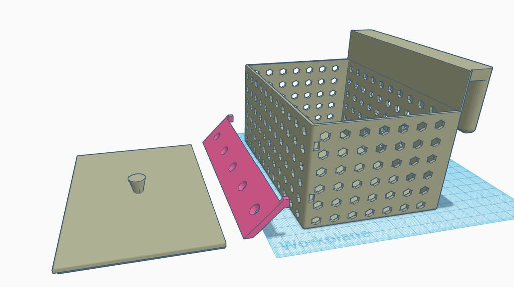 Custom Anemone Box – Clear Choice Aquatics